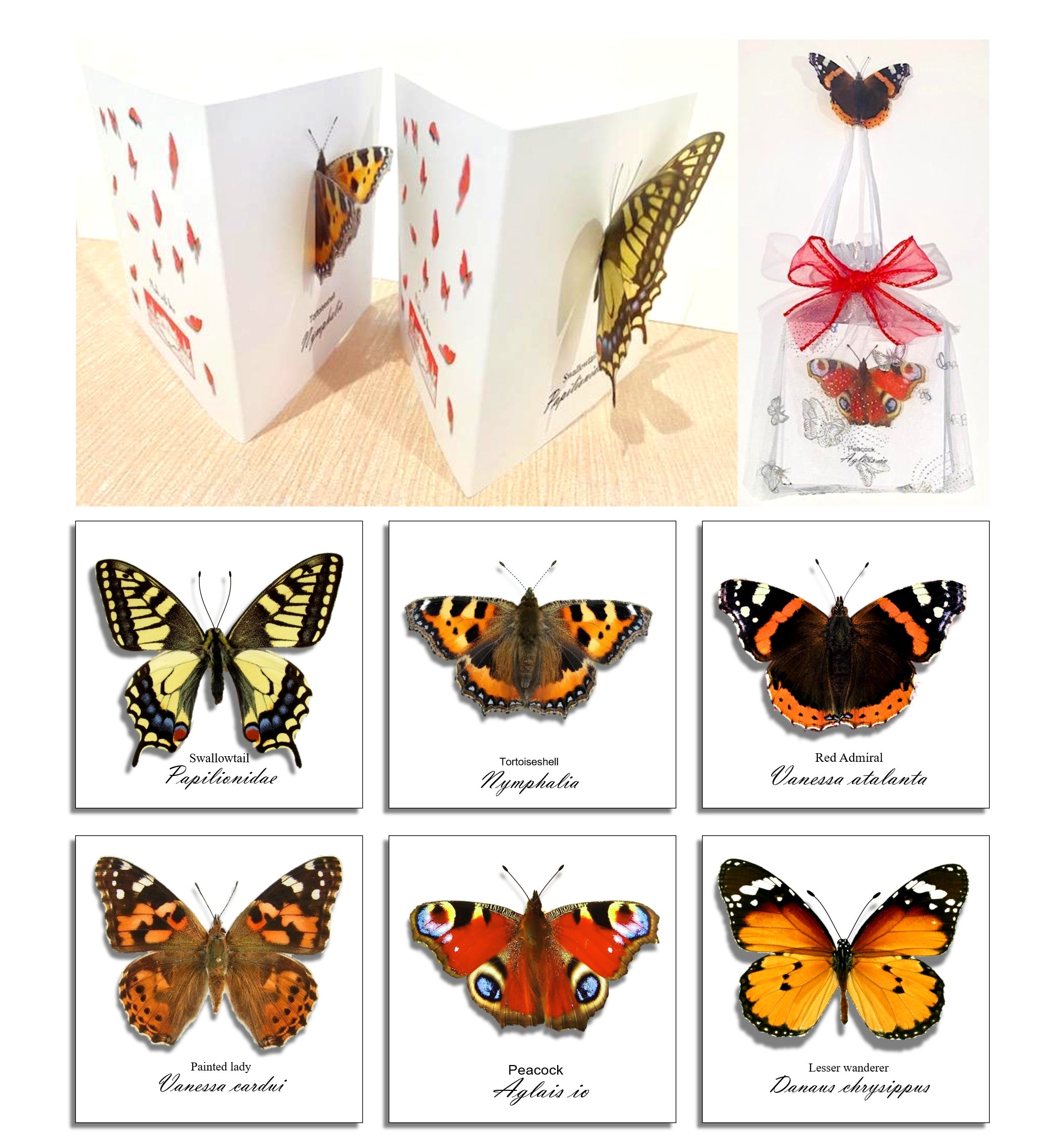 Butterfly 3d cards.Choice of 6 Natural British butterflies or purchase ...