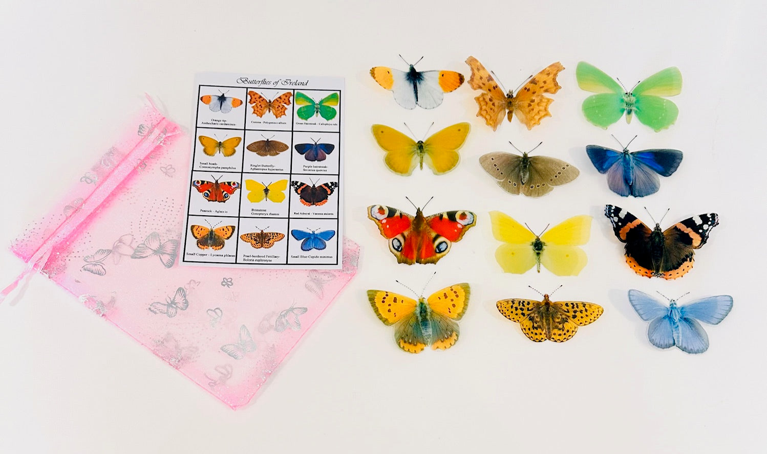 Ireland butterfly collection, set of 12 Irish butterflies. Ireland but ...