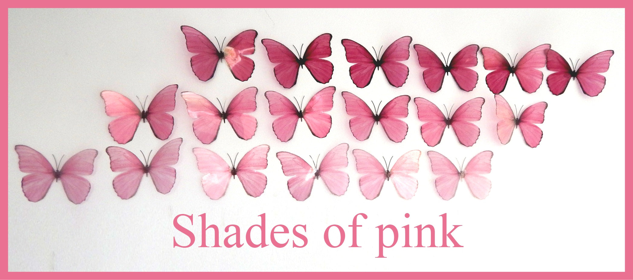 Pink Butterfly Printable 18,395 Pink Butterflies Stock Photos Free
