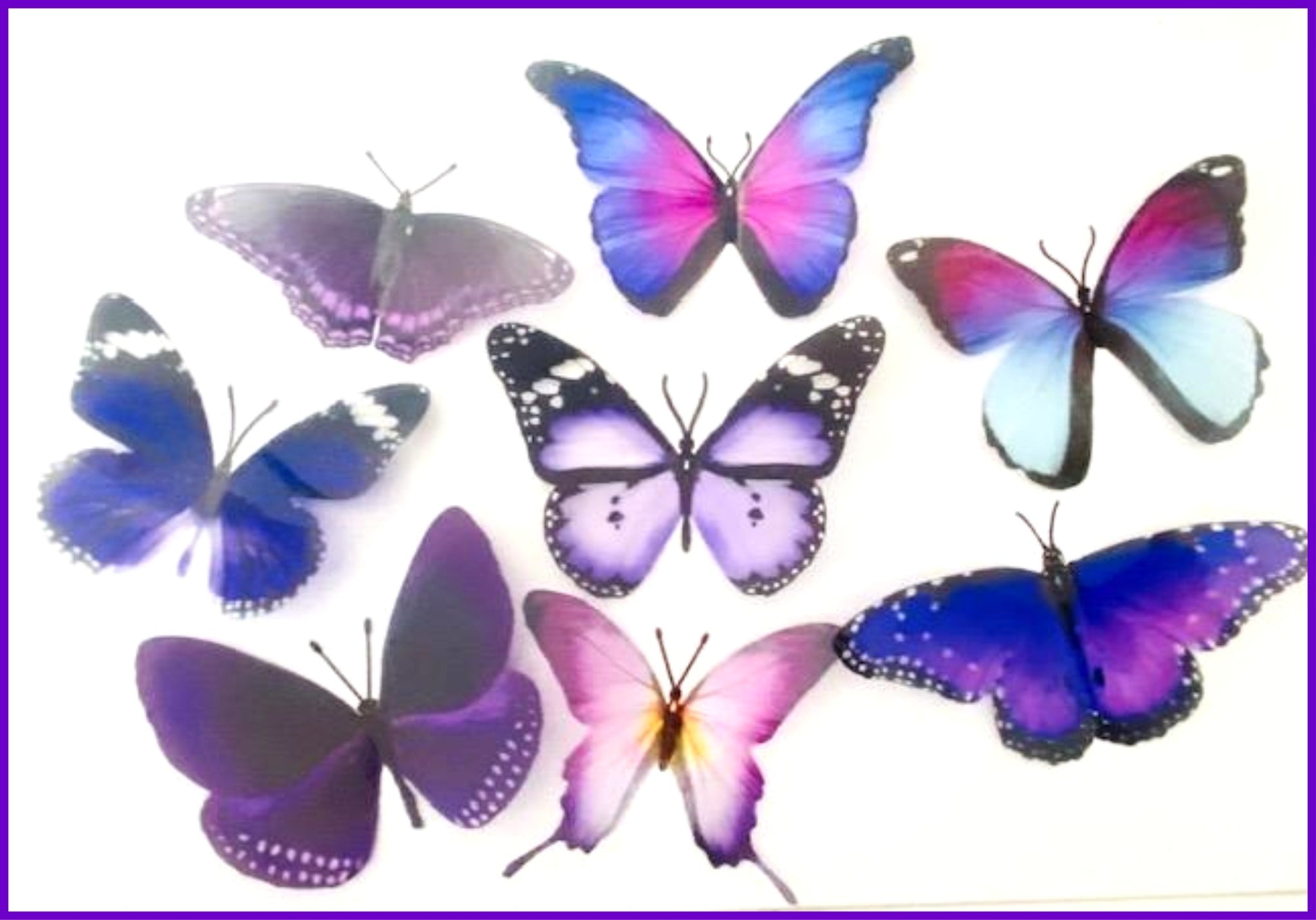 Bespoke purple butterflies from the purple collection,natural,reproduc ...
