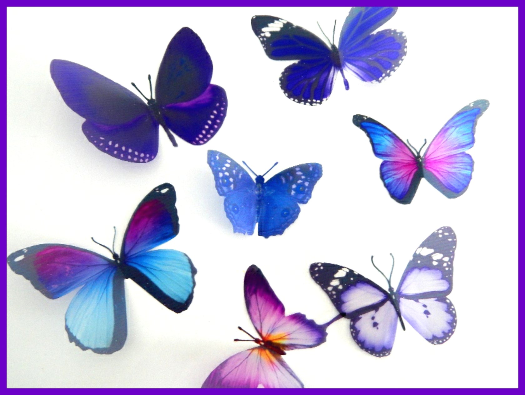 Bespoke purple butterflies from the purple collection,natural,reproduc ...