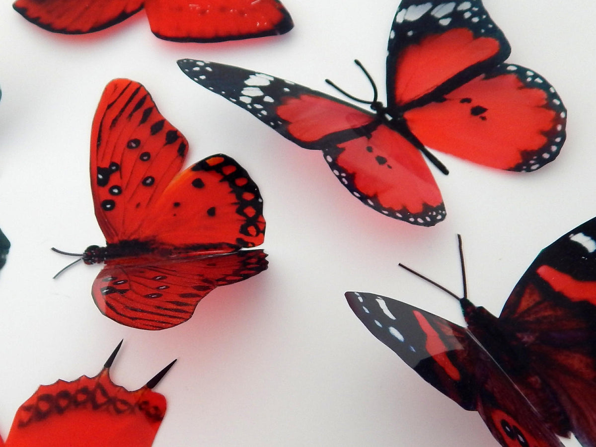 3d butterflies the Red collection, butterfly decor for the wall,conser ...