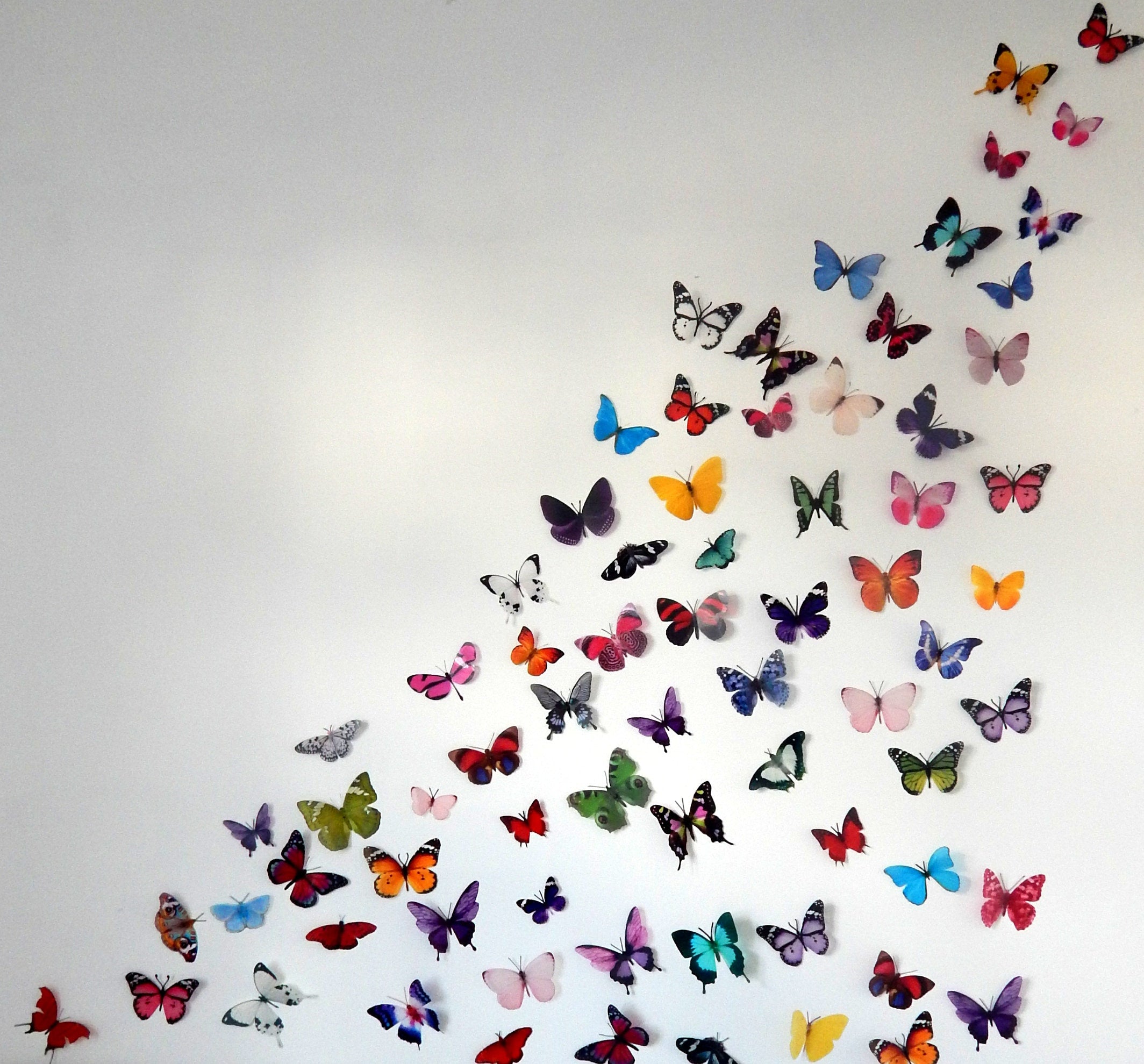 Flutterframes's amazing butterfly collection. As seen in Escape to the