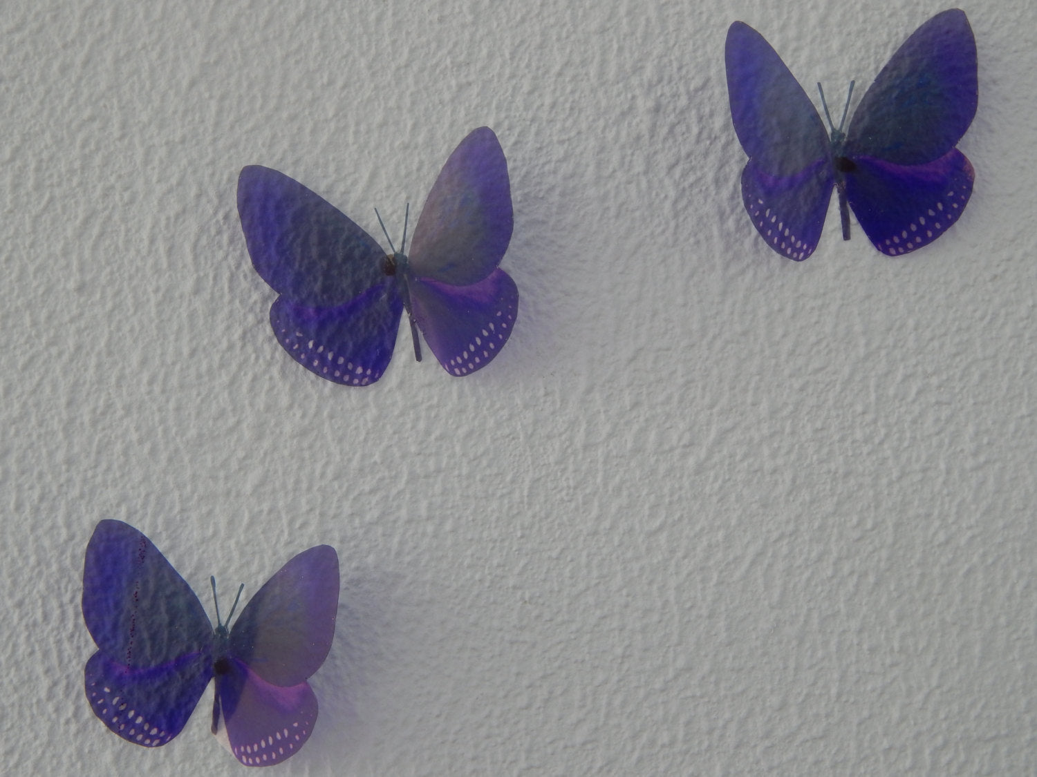 3D Deep Purple butterfly wall stickers , conservatory, picture frames ...