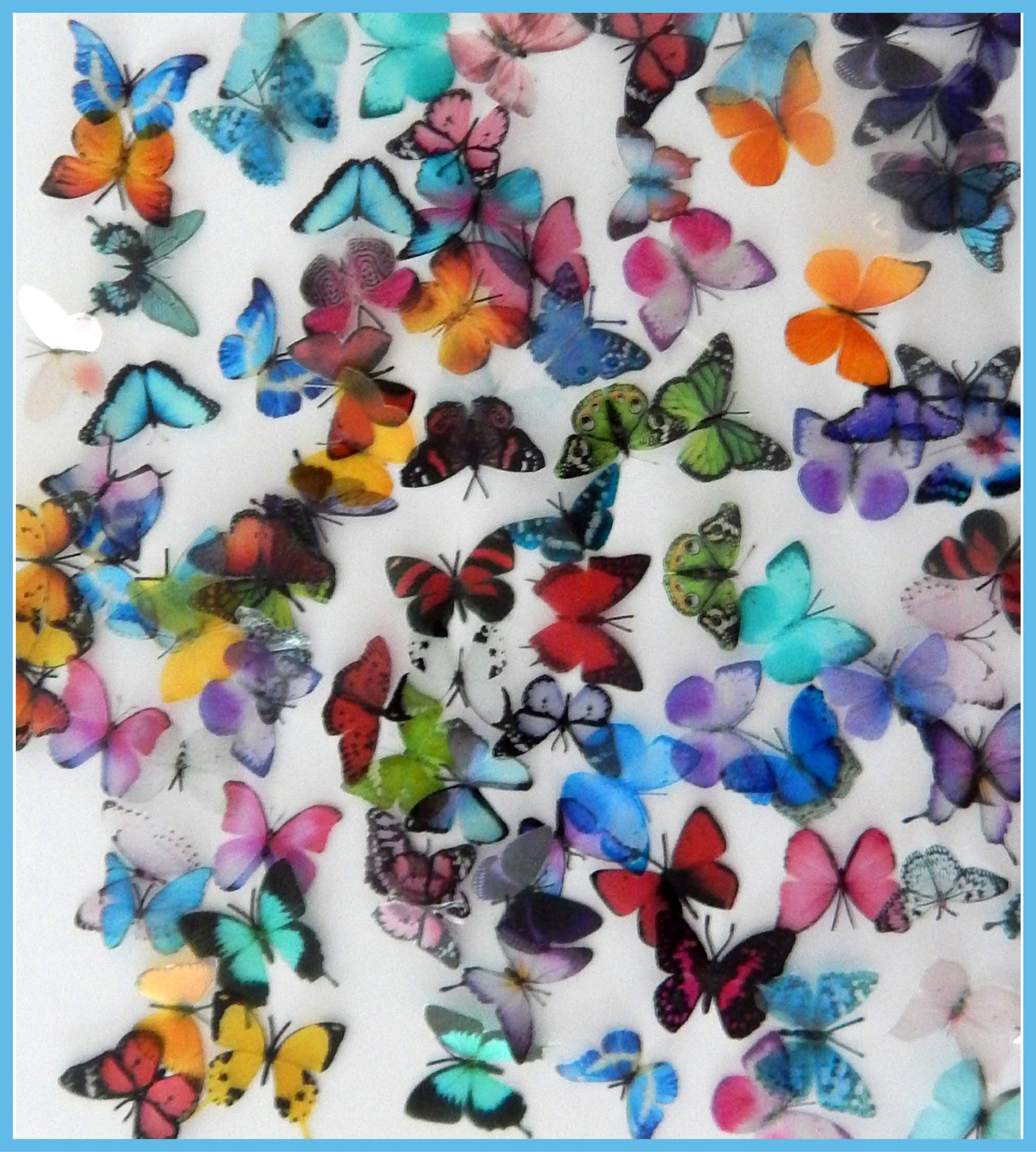 Mini butterflies. Miniature Butterflies. Butterfly 3d stickers ...