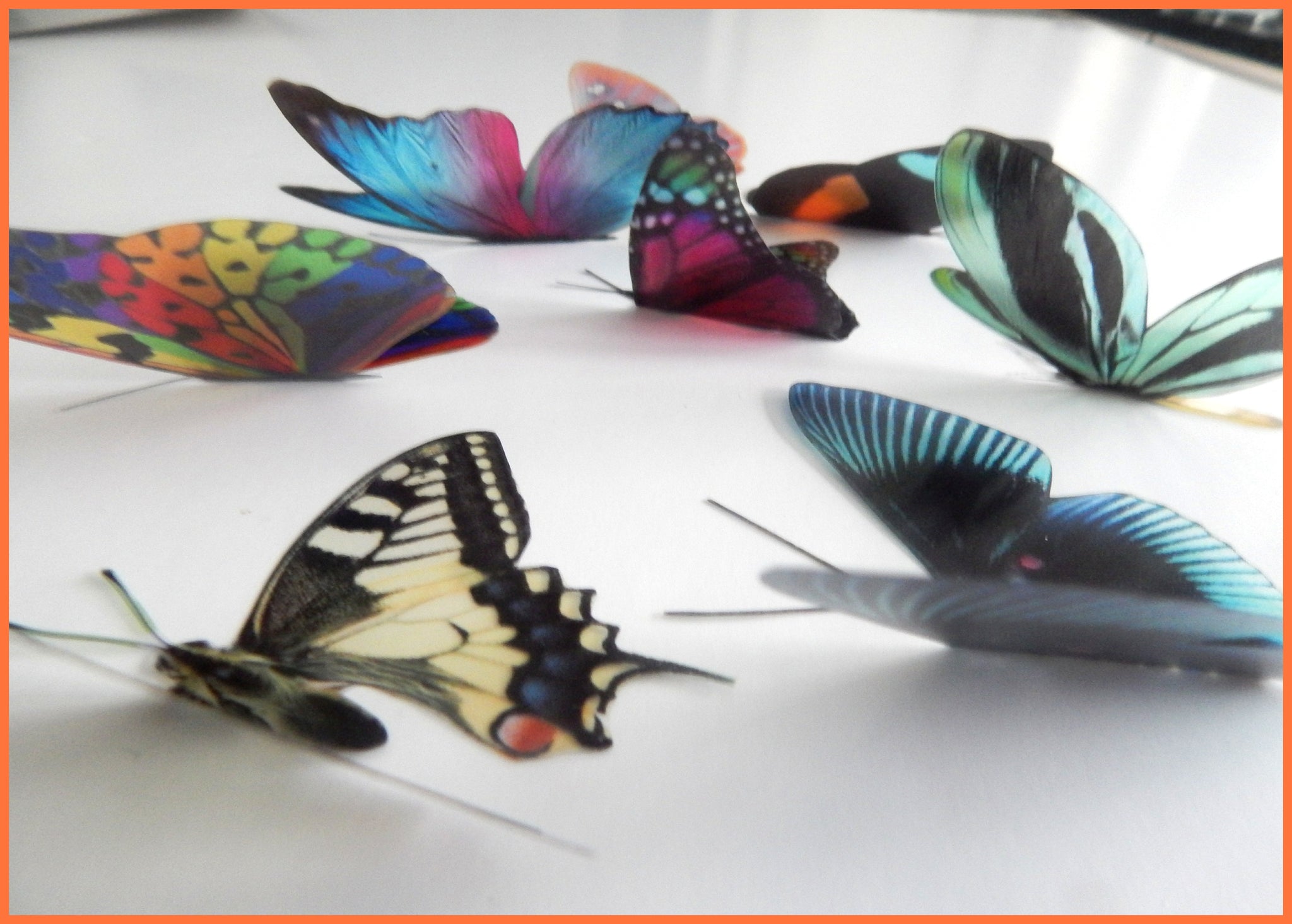 Rare collection of butterflies, 8 natural looking butterfly stickers ...