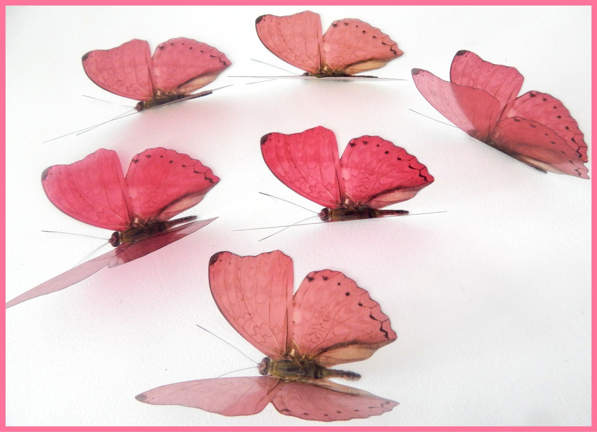 Pink, shades of pink 3d wall butterfly stickers Luxury Amazing Butterf ...