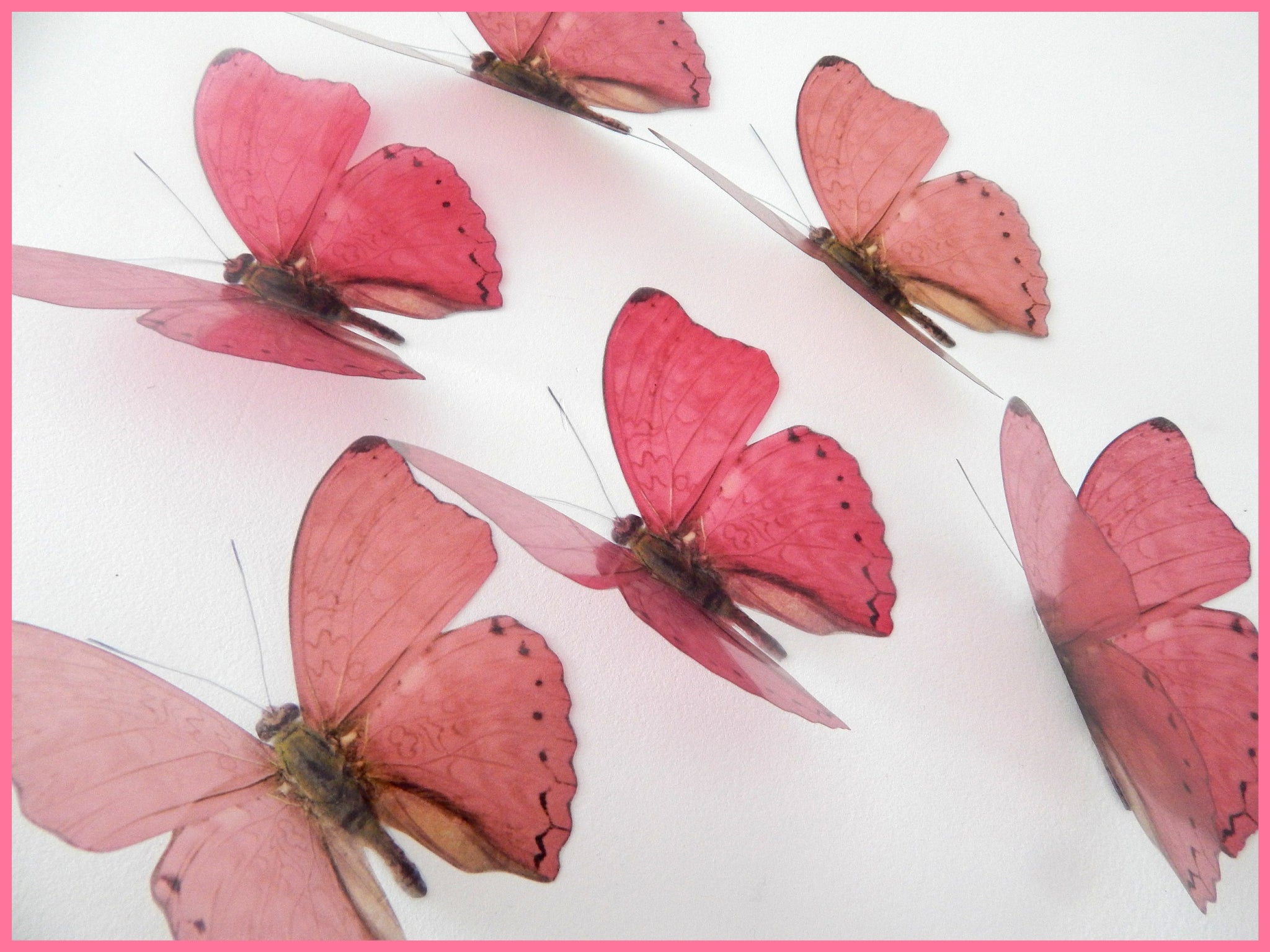Pink, shades of pink 3d wall butterfly stickers Luxury Amazing Butterf ...